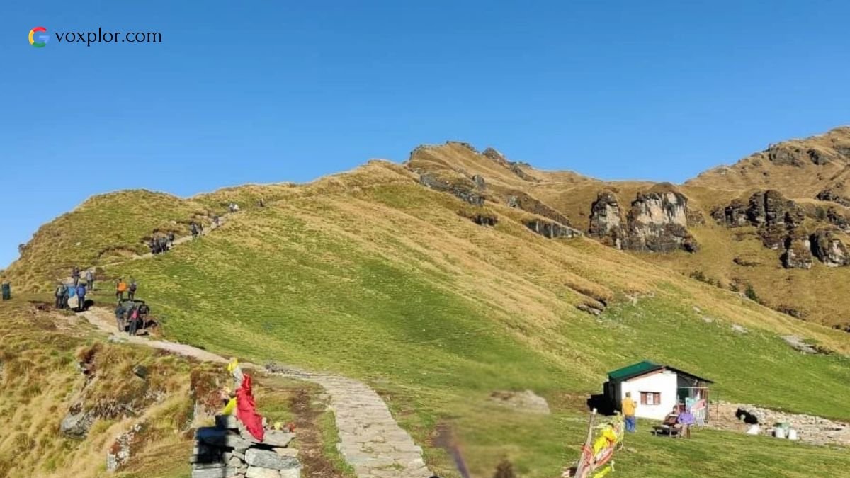 Rudranath Trek Guide: Distance, Route, and Tips for a Sacred Journey to ...