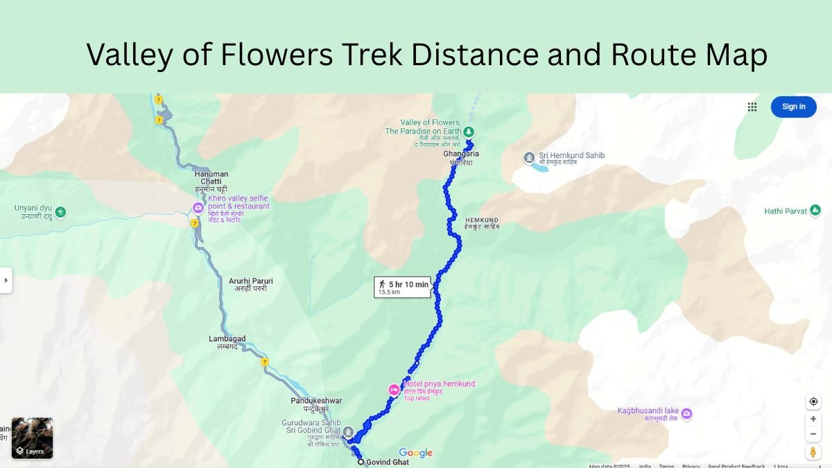 7 Reasons to take The Valley of Flowers trek: A Complete Guide to This ...