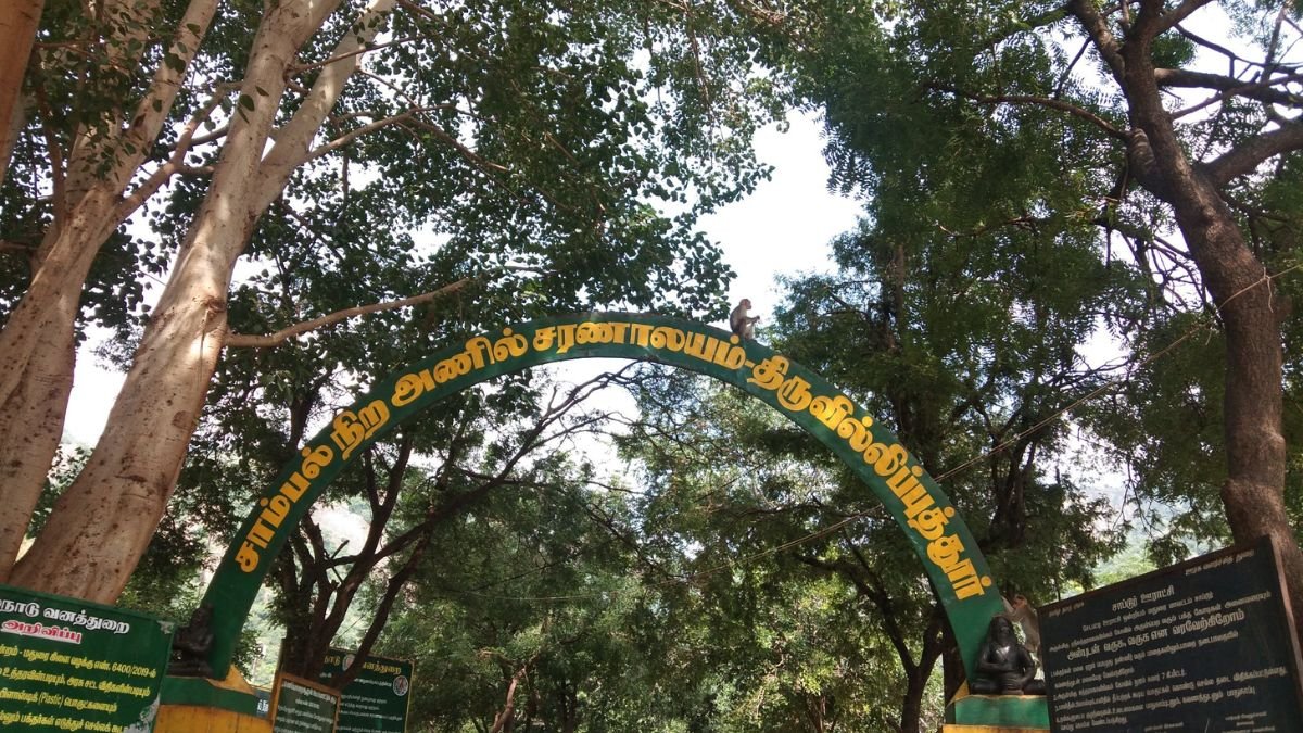 Sathuragiri Hill Trek: The Ultimate 2025 Guide – Voxplor Travel